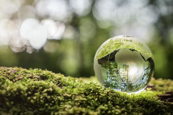 8 Sustainable Cities Around the World